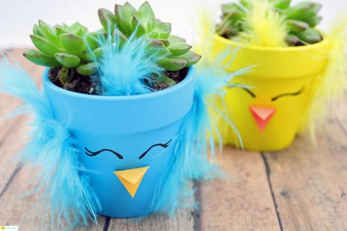 Spring Chick Succulent Planters - Meraki Mother